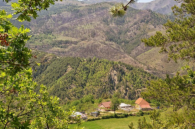 U gjet i vrarë me plumb në dhomën e gjumit, zbulohet konflikti i disa ...